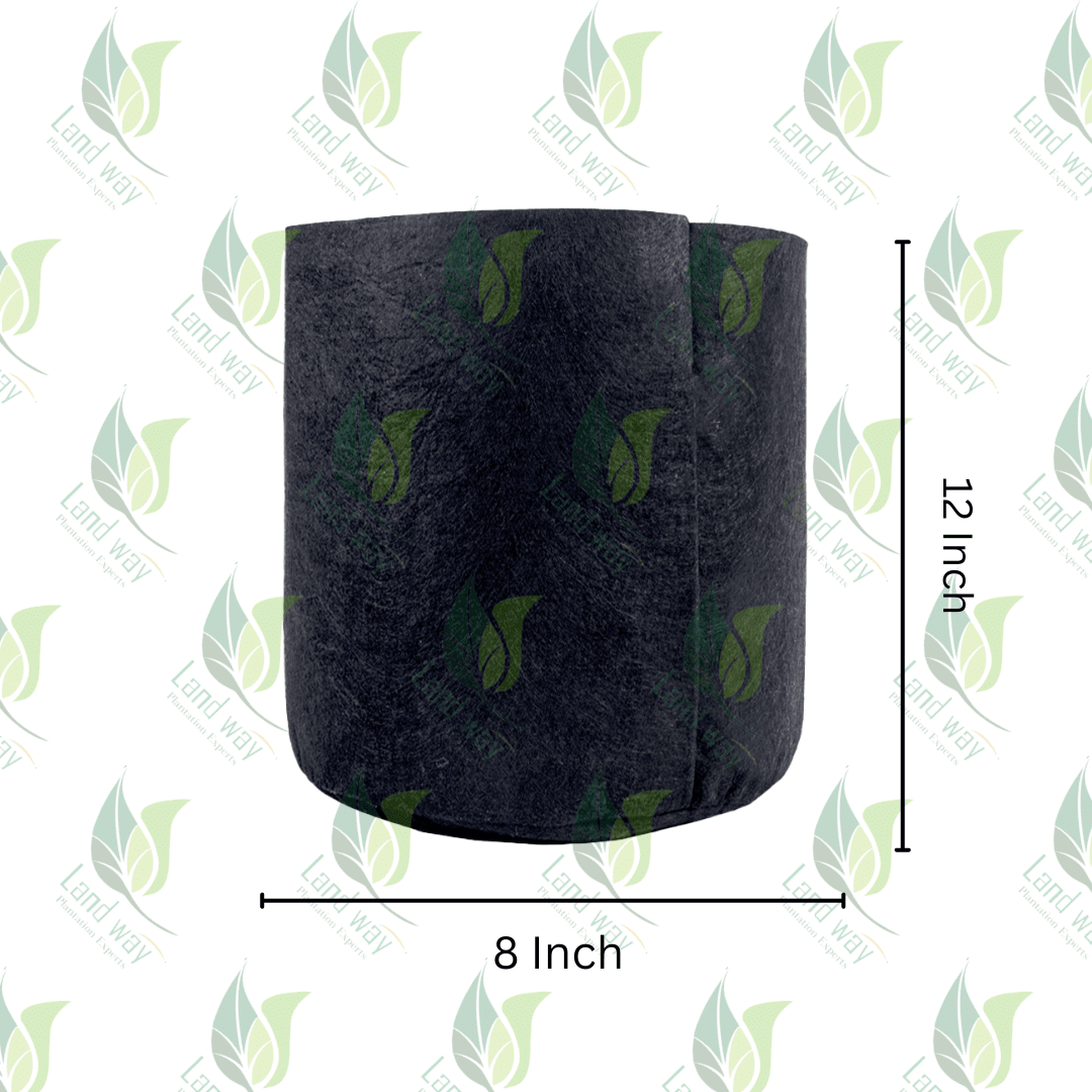 3 Gallon Fabric Pots Without Handles For Long Rooted Plants – LandWay.PK
